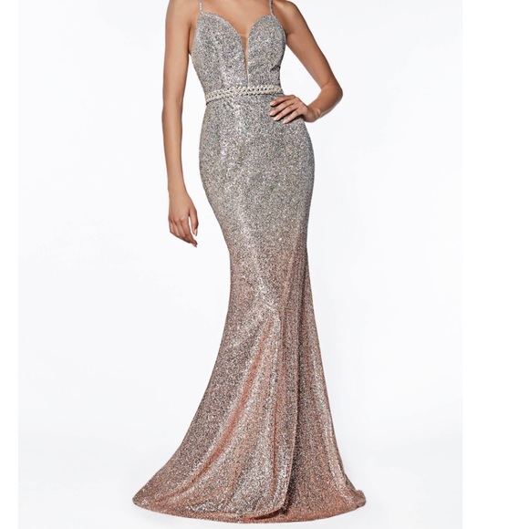 Cinderelle Divine | Dresses | Cinderella Divine Glitter Ombr Two Toned ...